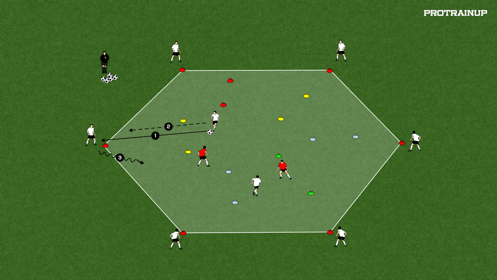 ProTrainUp :: Base pública